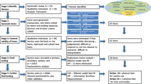 Recovering Quality of Life (ReQoL) Questionnaire - Oxford University ...