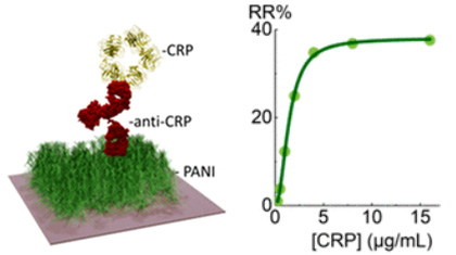 A novel redox capacitive biosensor assay based on a phytic acid-doped ...