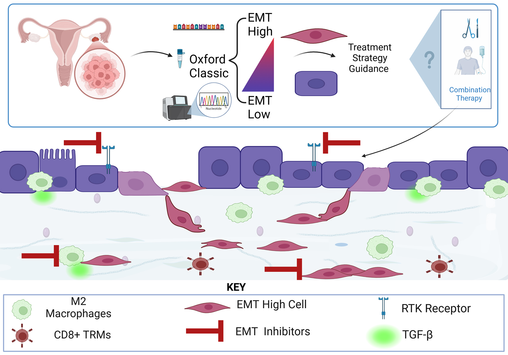 Oxford Classic - a novel prognostic signature to guide treatment ...