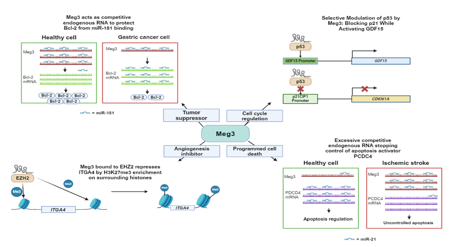 RNA therapy for neurodegenerative, cardiac, and pulmonary disease ...